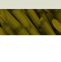 PRODUCTOS AUTOADHESIVOS ARCLAD S.A. – AndigrafMarket